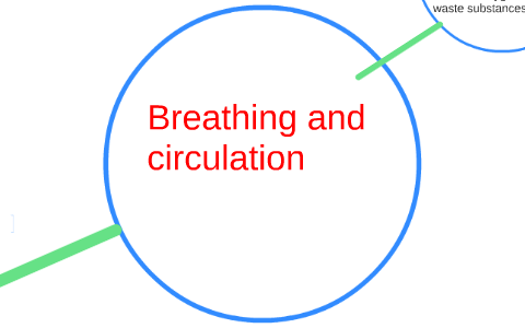 Breathing and circulation by Ejemplo Nueve on Prezi