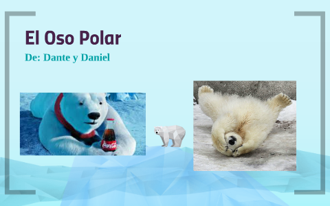 El Oso Polar by ethan courtney on Prezi
