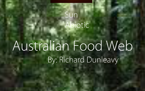 Australian Food Web by on Prezi