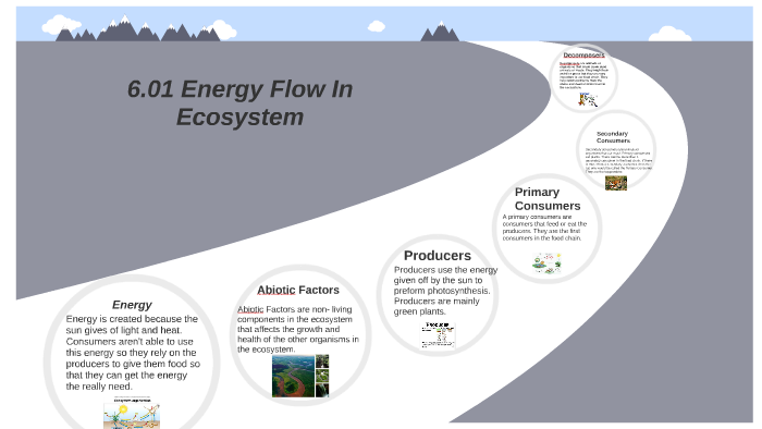 6.01 Science Energy Flow in Ecosystems by Amy Ramirez