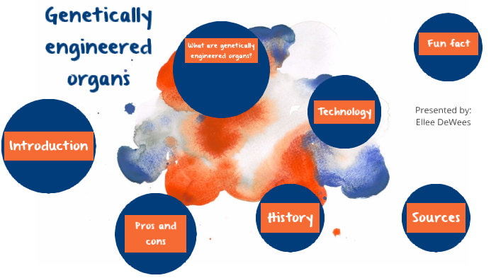 genetically engineered organs by Ellee DeWees on Prezi