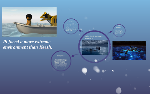 Pi faced a more extreme environment then keesh. by marco p