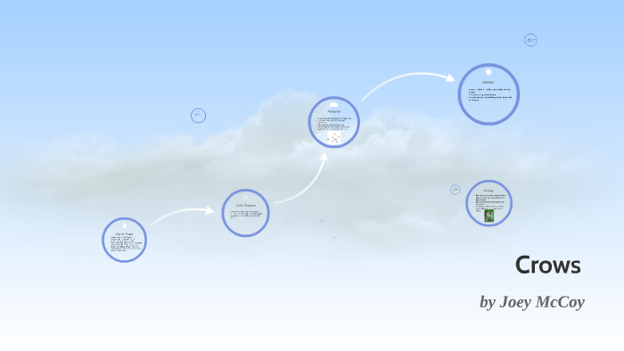 Crows by Joey McCoy on Prezi