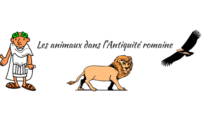 Les animaux de la Rome Antique by Yann PICHONNIERE on Prezi