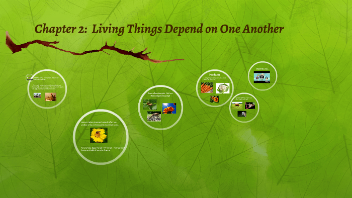 Chapter 2: Living Things Depend on One Another by Sebastian Gomez on Prezi