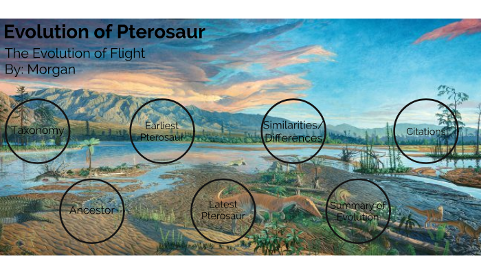 Evolution of Pterosaur by M B on Prezi