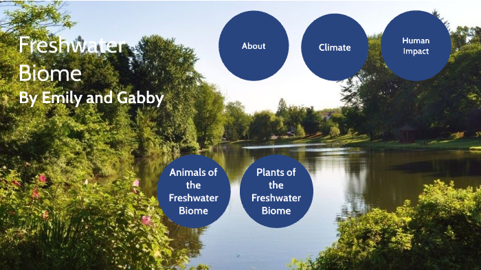 Freshwater Biome by Emily Goodrich on Prezi