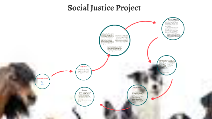 Social Justice Project Prezi by Owen Taggart on Prezi