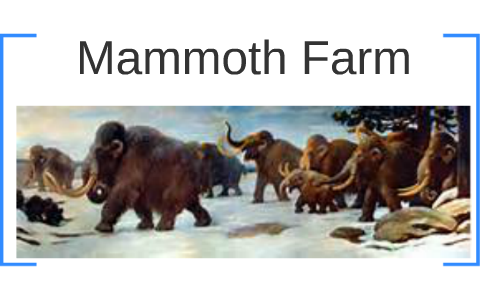 Mammoth Farm by Willie Griffith