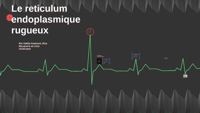 Le reticulum endoplasmique by Johan Kirszner on Prezi