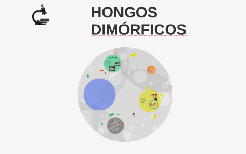 HONGOS DIMORFICOS by Fernanda de la concha on Prezi