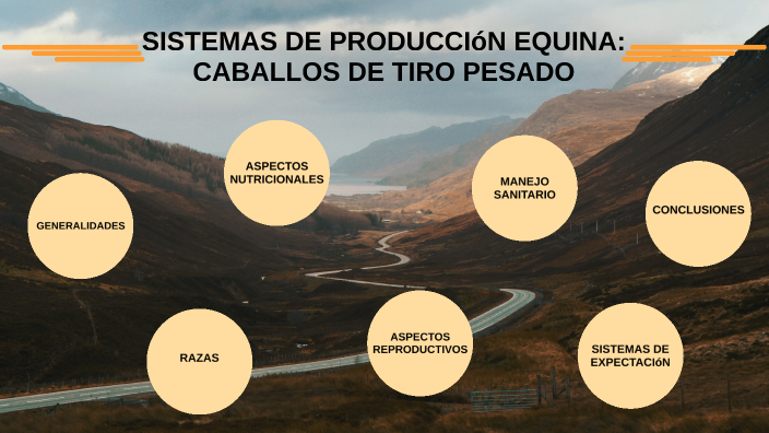 SISTEMAS DE PRODUCCIÒN EQUINA: CABALLOS DE TIRO PESADO by CONSUELO LEÓN ...