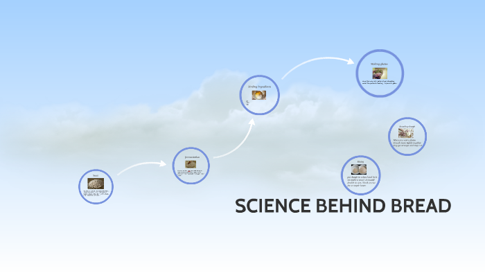 SCIENCE BEHIND BREAD by levin koonce on Prezi