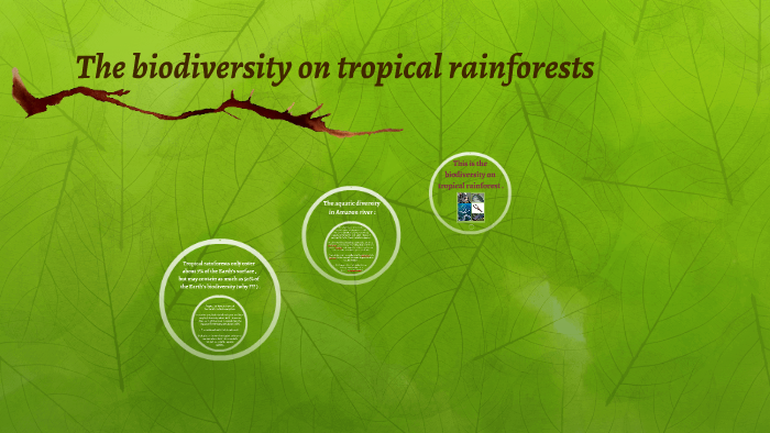 The biodiversity on tropical rainforests by Abdallah Raslan on Prezi