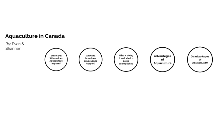Summative Project by Evan Welburn on Prezi