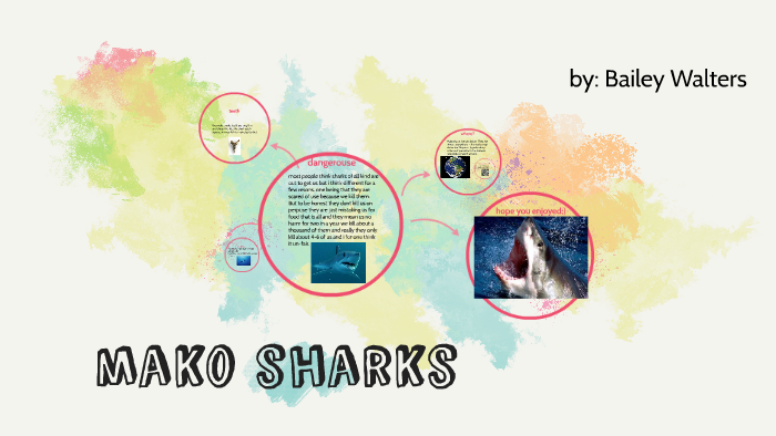mako sharks by Bailey Walters