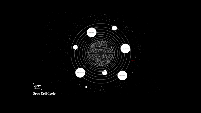 Oreo Cell Cycle by Daqualin Thomas on Prezi
