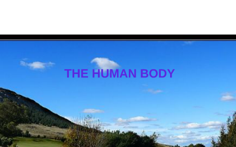 THE HUMAN BODY by mishel labra choquehuanca on Prezi
