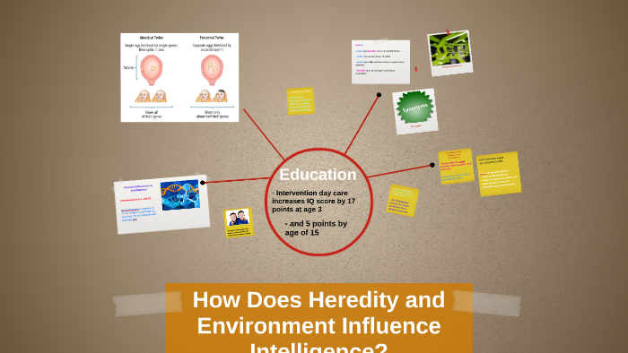 How Does Heredity and Environment Influence Intelligence? by Rio Del ...