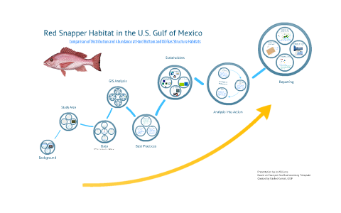 Red Snapper Habitat in the U.S. Gulf of Mexico by Jo Williams on Prezi