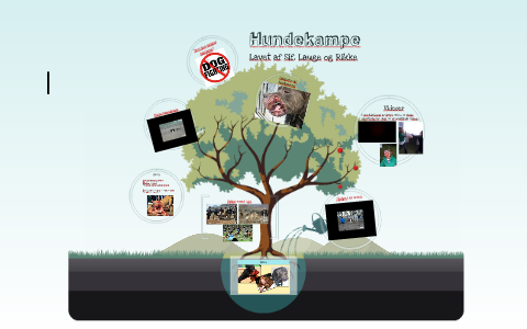 Hundekampe by Sif Simonsen on Prezi