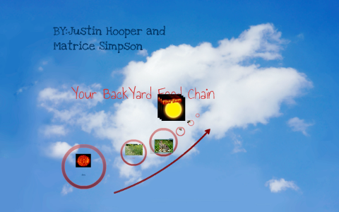 Your back yard food chain by Matrice Simpson on Prezi