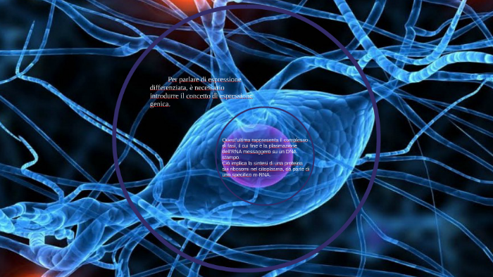 Le sinapsi by Vito Gesia on Prezi