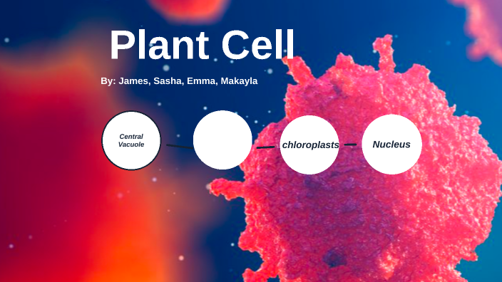 Cell Project, Group 1 plant cells by James DeRouchey