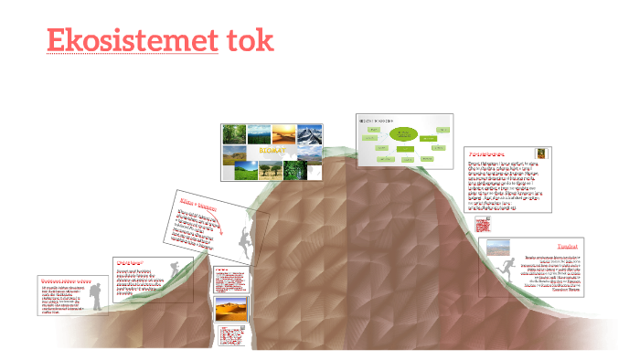 Ekosistemet tokësore natyrore by Elsa Shala on Prezi