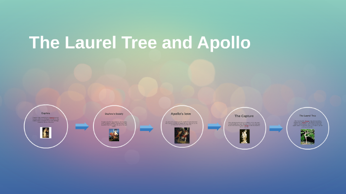 The Laurel Tree and Apollo by Jack Morrison on Prezi