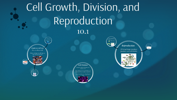 Cell Growth, Division, and Reproduction by Nicole Halstead