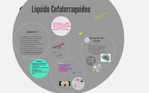 Liquido Cefalo Raquideo by sofia zamora on Prezi