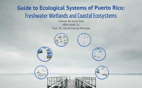 Ecological Systems of Puerto Rico: Freshwater Wetlands and Coastal ...