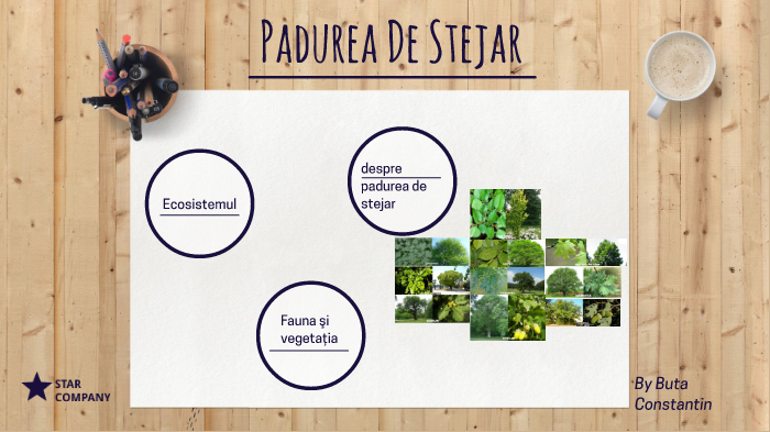 Padure de Stejar by costy costy on Prezi