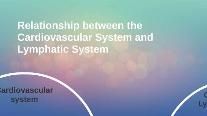 Relationship between the Cardiovascular System and Lymphatic by Cameron ...