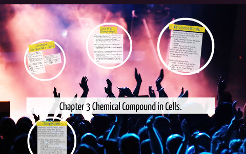 Chapter 3 Chemical Compound in Cells. by Hannah Frank