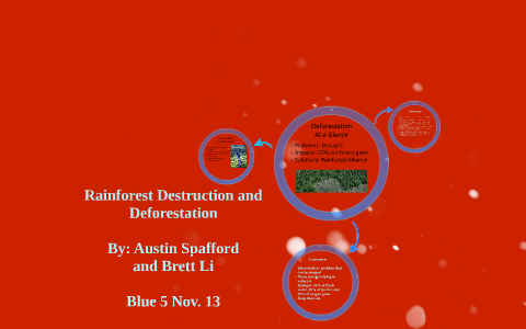 Rainforest Destruction and Deforestation by Austin Spafford on Prezi