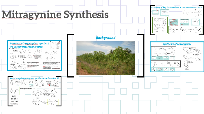 Mitragynine Synthesis by Marin Young