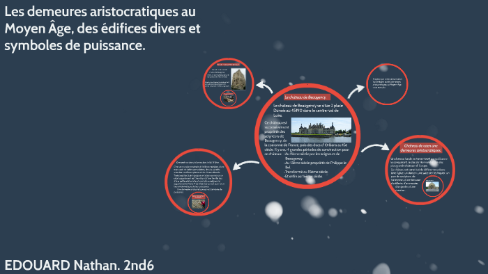 Les demeures aristocratiques au Moyen Âge, des édifices dive by Nathan ...