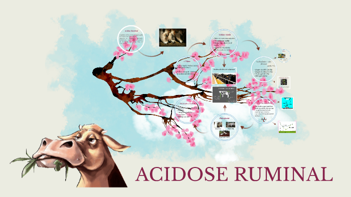 Acidose Ruminal by Bruna Thaila Bezerra on Prezi