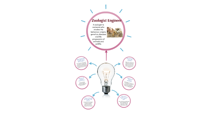 Zoologist Engineer by Megan Powers on Prezi