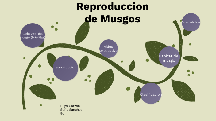 Reproducción de Musgos by Sofia Sanchez on Prezi