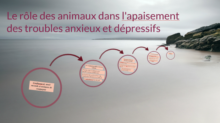Le rôle des animaux dans l'apaisement des troubles anxieux e by ELo ...