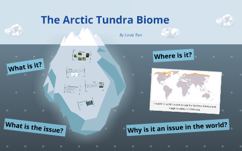 The Arctic Tundra Biome by Linda Tran on Prezi