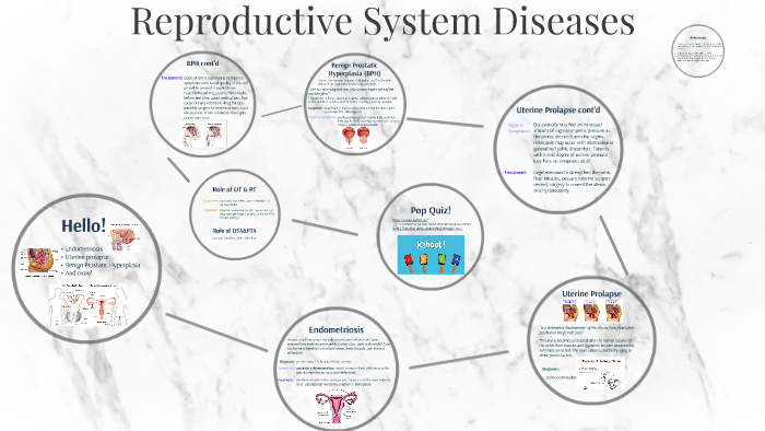Reproductive System Diseases by Lindsay Tait on Prezi