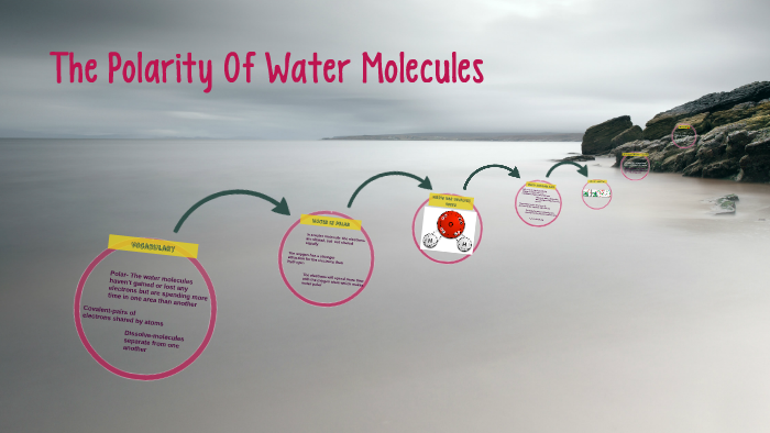 The Polarity Of Water Molecules by Chivel Whitehead on Prezi