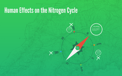 Human Effects on the Nitrogen Cycle by Wylker Tavares on Prezi