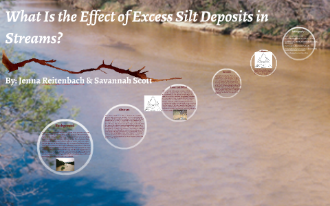 What Is the Effect of Excess Silt Deposits in Streams? by Jenna ...