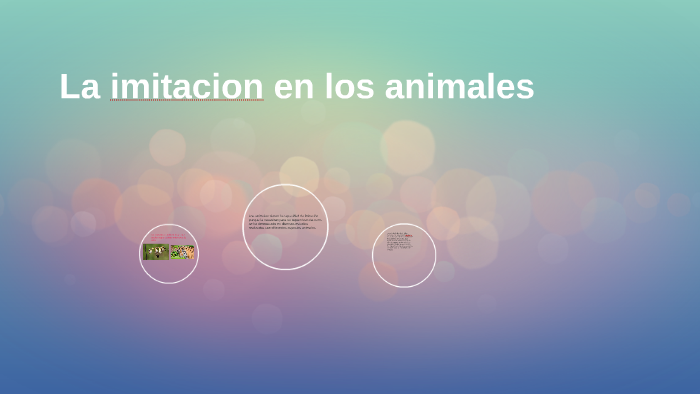 La imitacion en los animales by angeles baez on Prezi