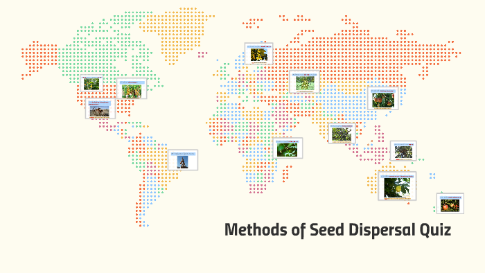 Methods of Seed Dispersal Quiz by Sable Sellick on Prezi